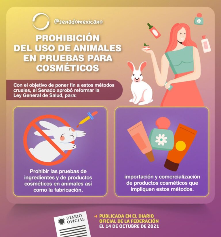 Prohibición del uso de Animales en pruebas para cosméticos - Revista ...